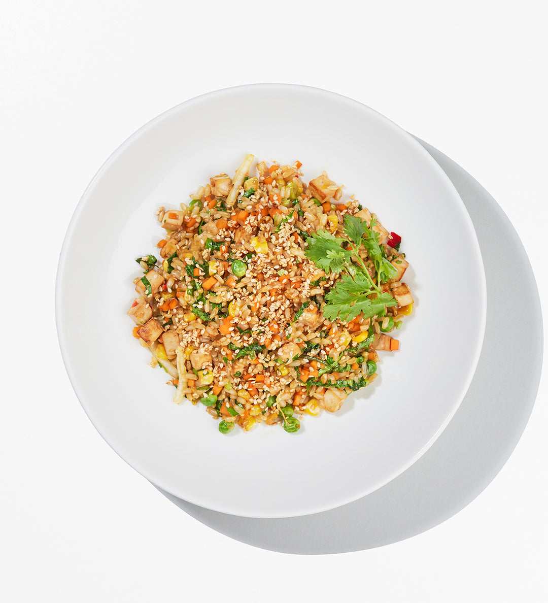 Vegan Fried Rice with Tofu | Activate Foods